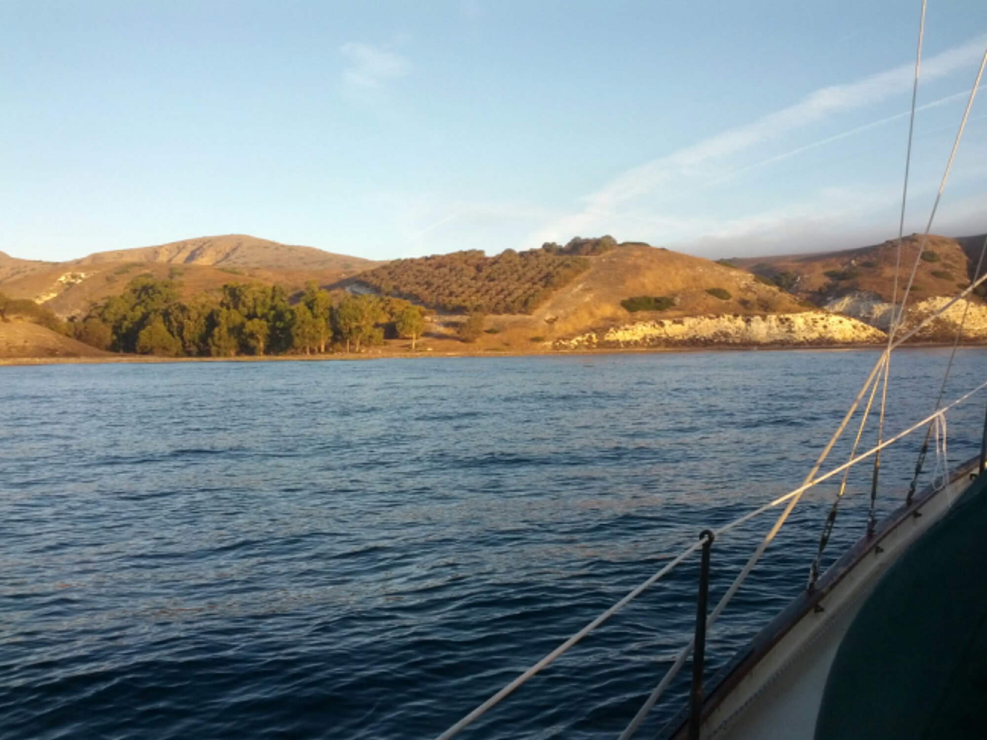 Holy Moly Roly Poly - Sailing Stormy