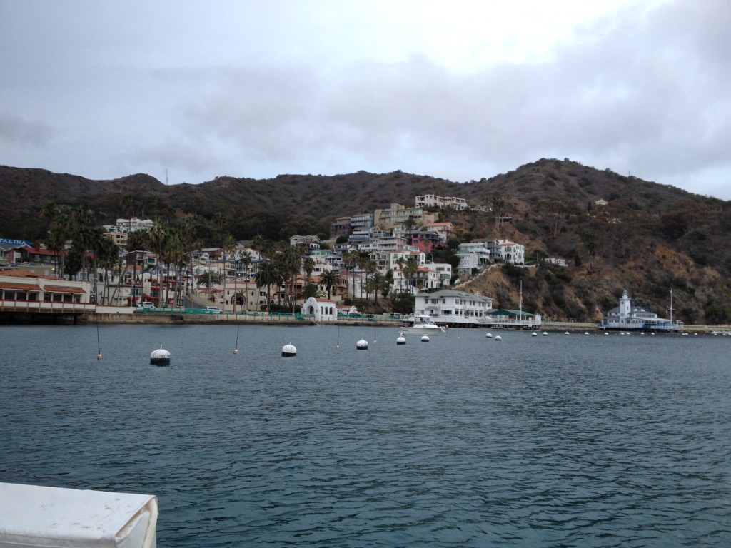 Welcome Aboard the Avalon Express - Sailing Stormy